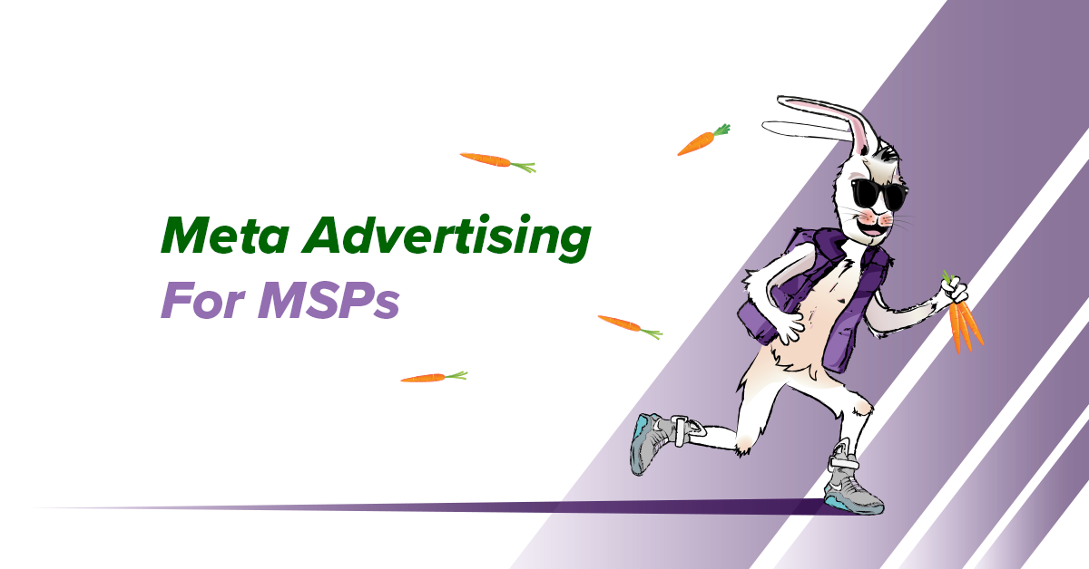 Best MSP Meta Ads Management Agency | MSP Meta Ads Management Services ...